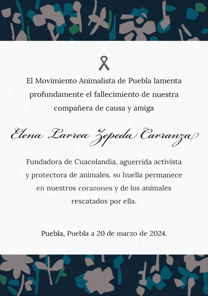 Confirman muerte de la activista Elena Larrea, a los 30 años de edad ...